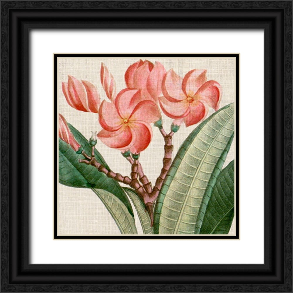 Vision Studio 26x26 Black Ornate Wood Framed with Double Matting Museum ...
