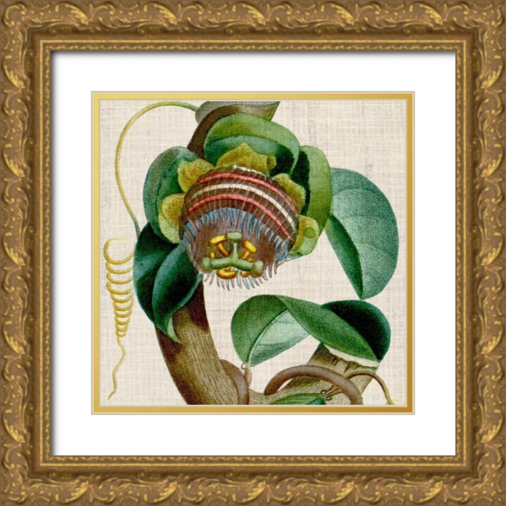 Vision Studio 26x26 Gold Ornate Wood Framed with Double Matting Museum ...