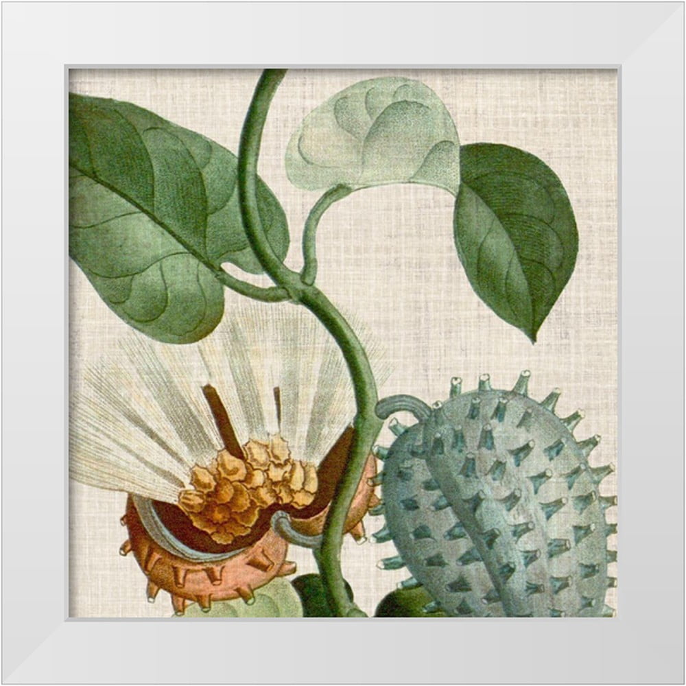 Vision Studio 26x26 White Modern Wood Framed Museum Art Print Titled ...