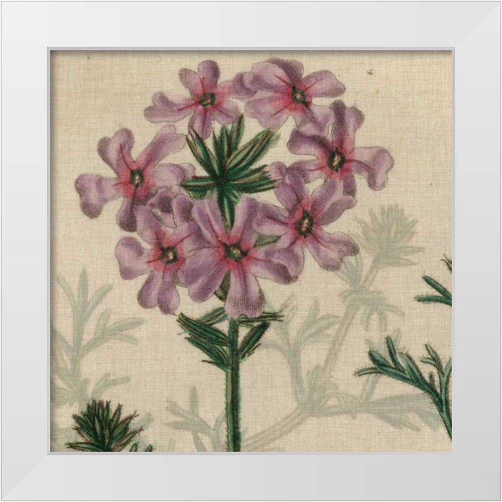 Vision Studio 26x26 White Modern Wood Framed Museum Art Print Titled ...