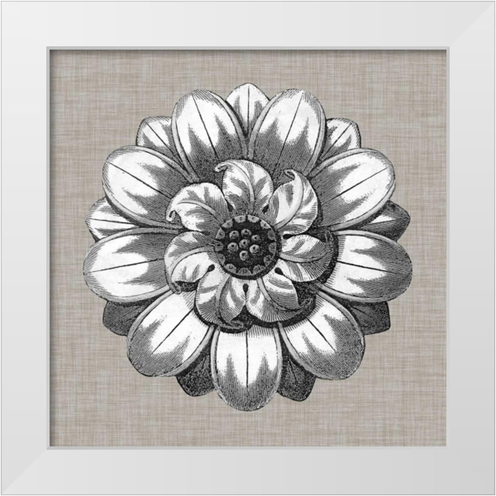 Vision Studio 26x26 White Modern Wood Framed Museum Art Print Titled ...