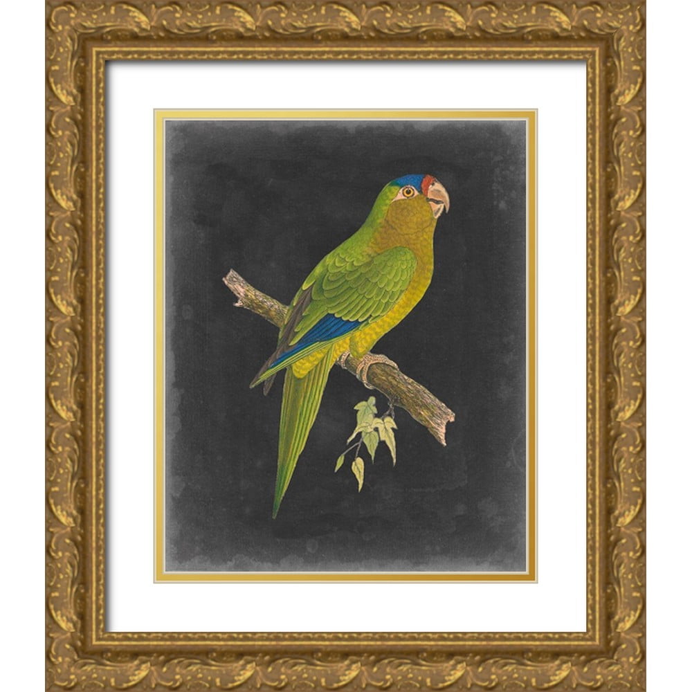 Vision Studio 26x32 Gold Ornate Wood Framed with Double Matting Museum ...