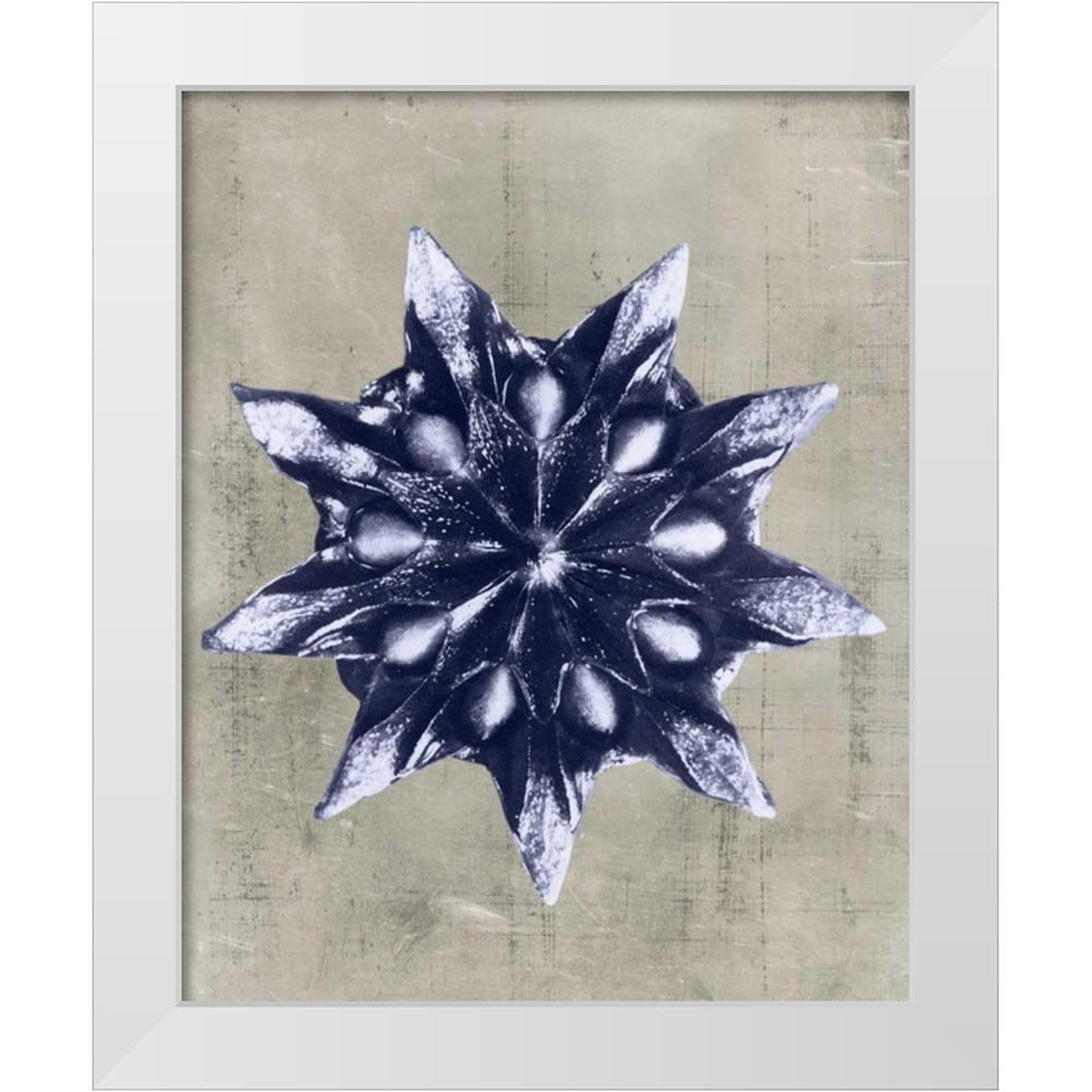 Vision Studio 26x32 White Modern Wood Framed Museum Art Print Titled - Blossfeldt Redeux VI ...