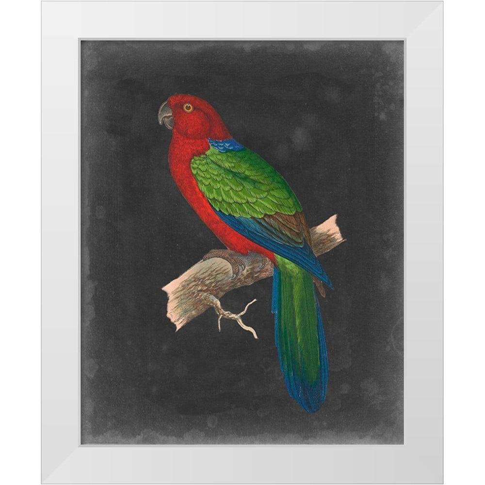 Vision Studio 26x32 White Modern Wood Framed Museum Art Print Titled ...