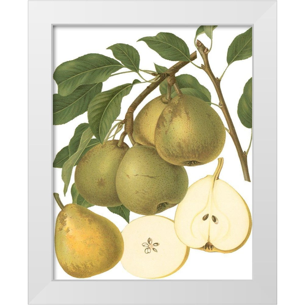 Vision Studio 26x32 White Modern Wood Framed Museum Art Print Titled ...