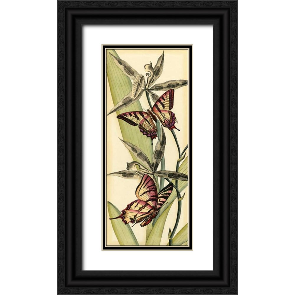 Vision Studio 8x14 Black Ornate Wood Framed with Double Matting Museum ...