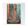 Visit The Redwoods National Park Poster Home Decor Office Wall Art ...