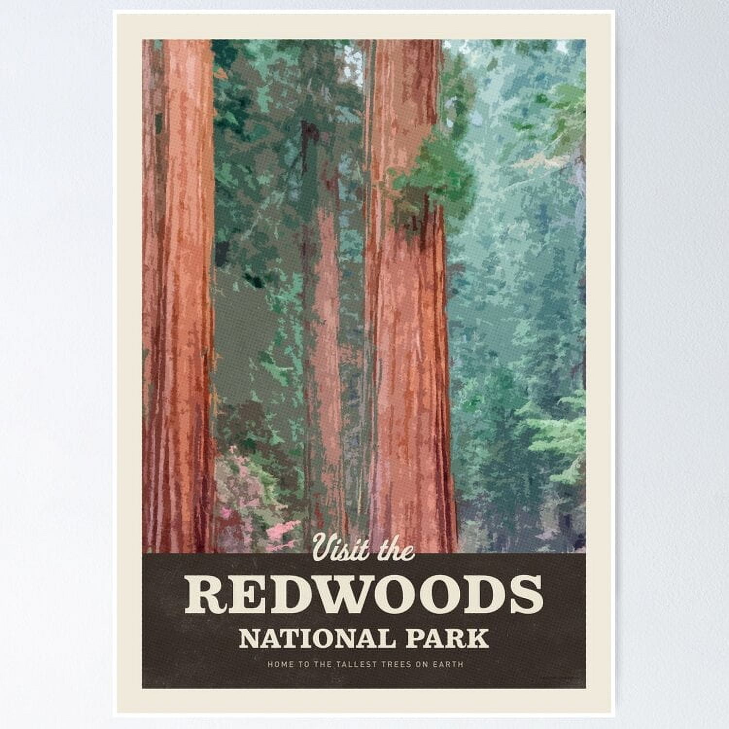 Visit the Redwoods National Park Poster, 12x18 UNFRAMED - Walmart.com