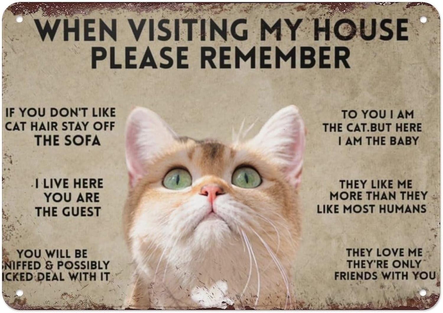 When Visiting My House Please Remember Retro Metal Tin Sign Cats Poster ...
