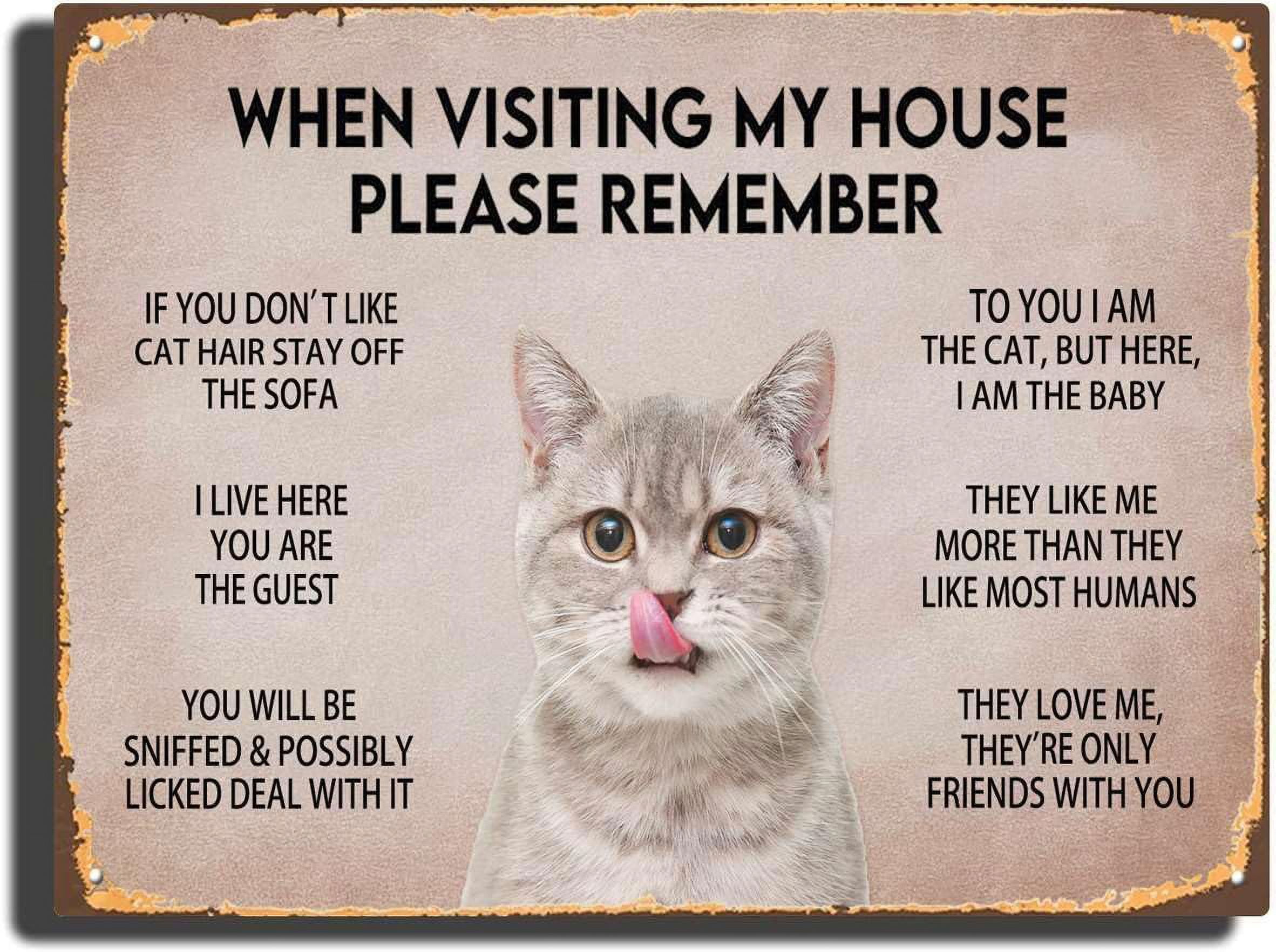 When Visiting My House Please Remember Wall Decoration - Cat's Metal ...