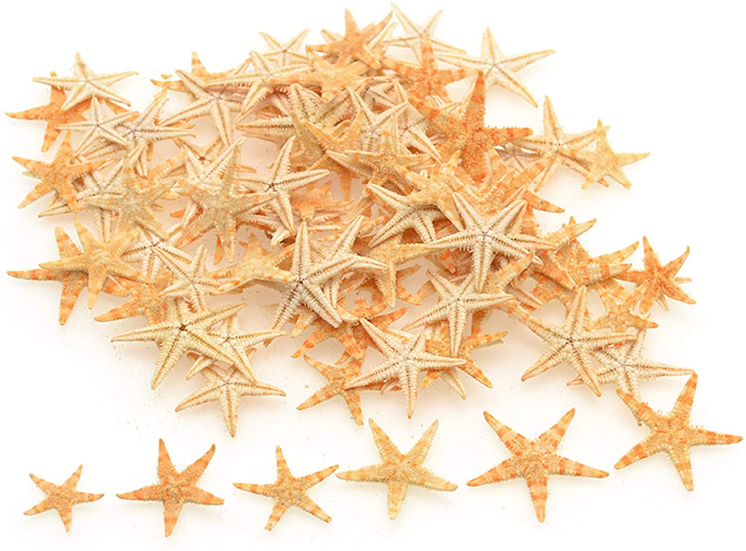 Visland 100PCS Small Starfish Star Sea Shell Beach Crafts Decor ...