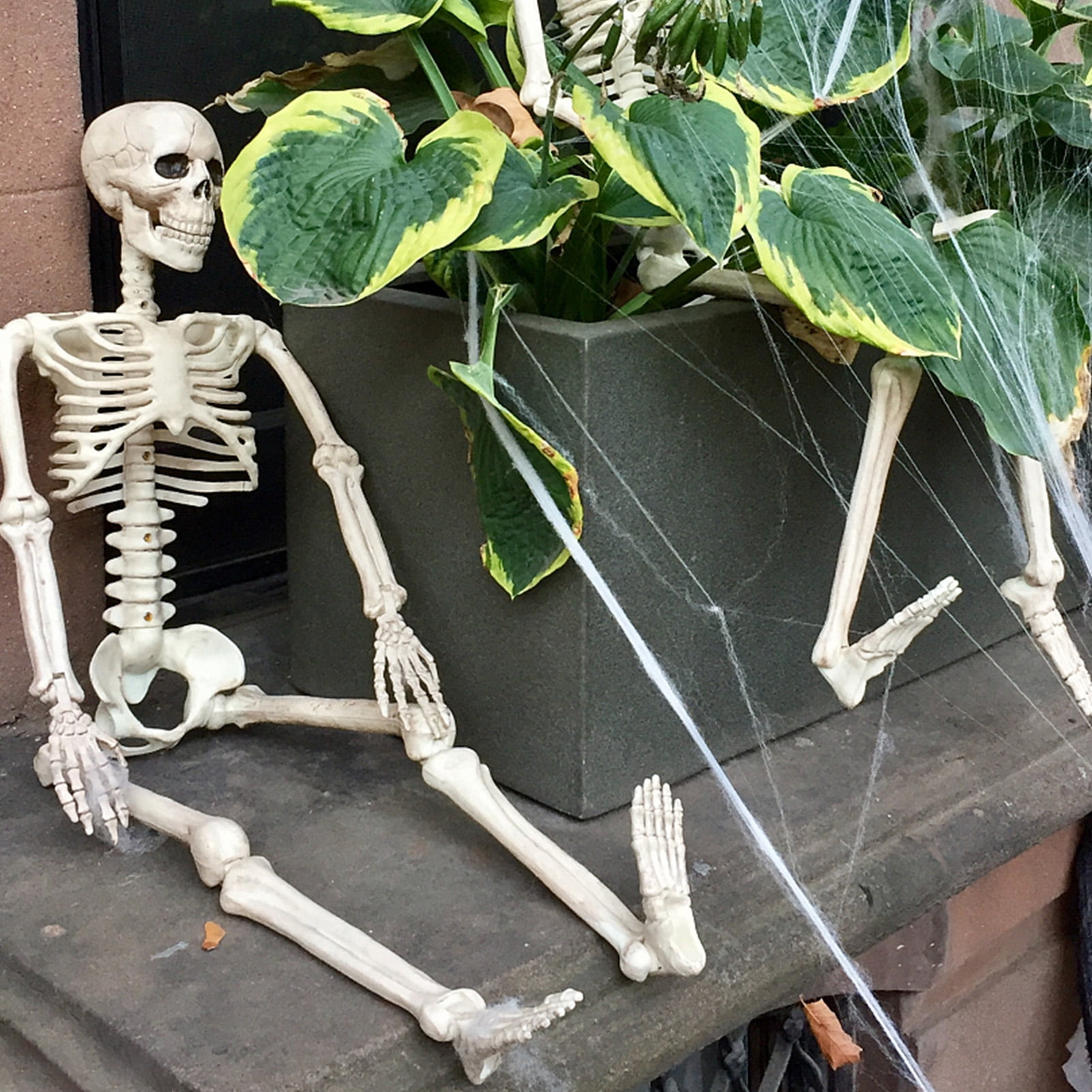 Visland 23.62inch Halloween Skeleton Prop Human Full Size Skull Hand ...