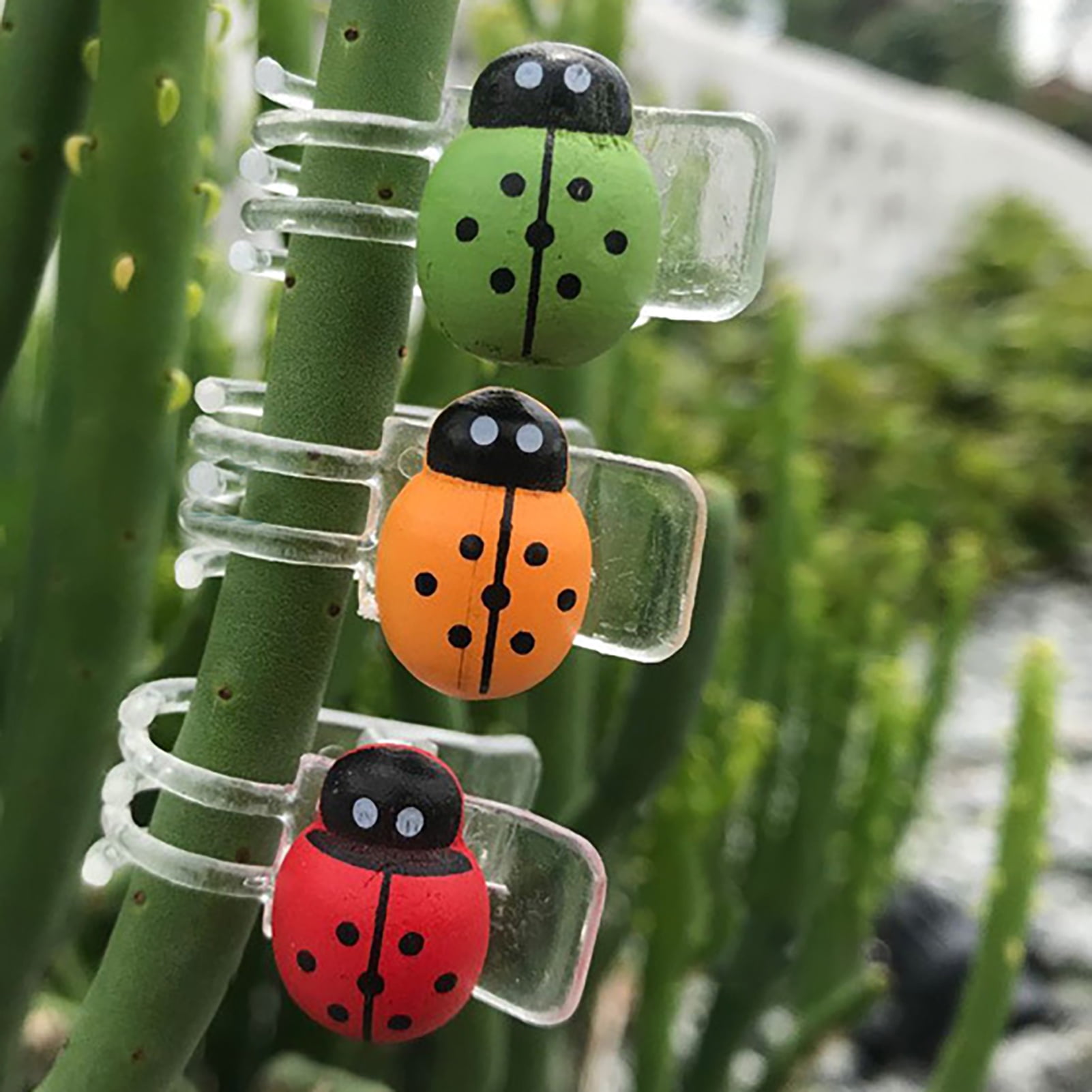 Visland 30PCS Orchid Clips Ladybug Orchid Clips Plant Clips for Plant ...