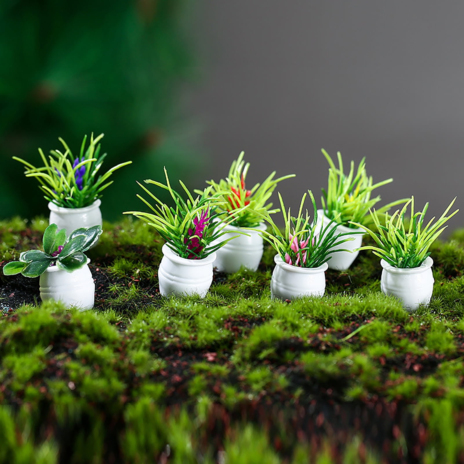 Visland 7PCS Mini Potted Plant Craft Figurine Plant Pot Miniature ...
