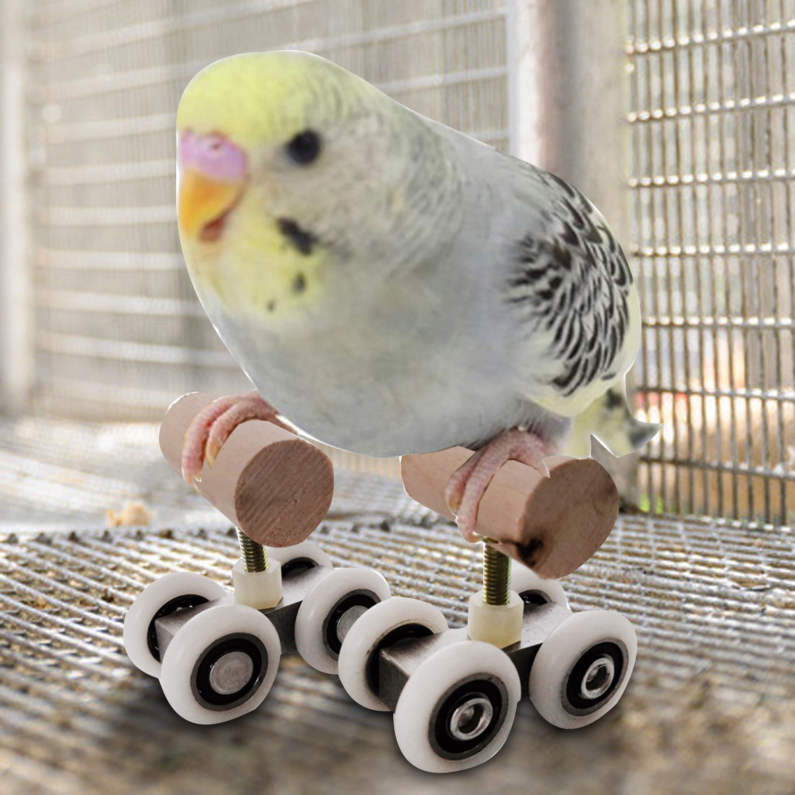 Visland Bird roller skates Training Toy，Parrot Educational Table Top ...