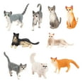 Visland Cat Figures Toy Set, Realistic Educational Small Cat Figurines ...