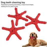 Limei No Stuffing Squeaky Dog Toy, No Stuffless Crinkle Dog Toy, Puppy ...