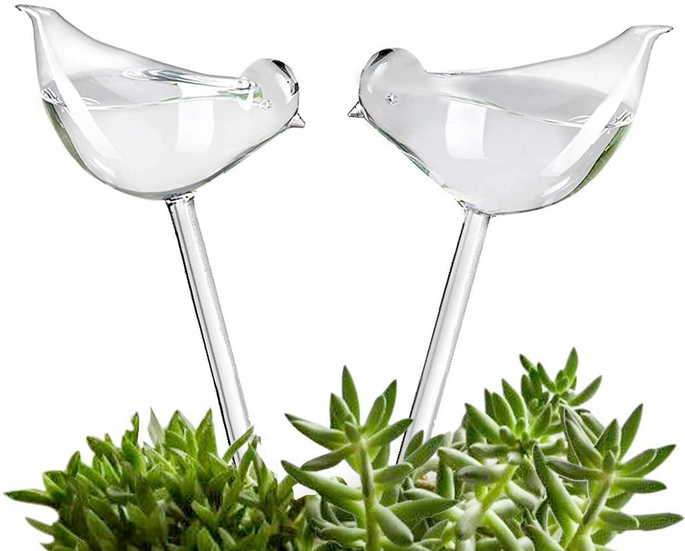 Visland Glass Mini Watering Globes - 2 Pack Watering Bulbs Devices ...