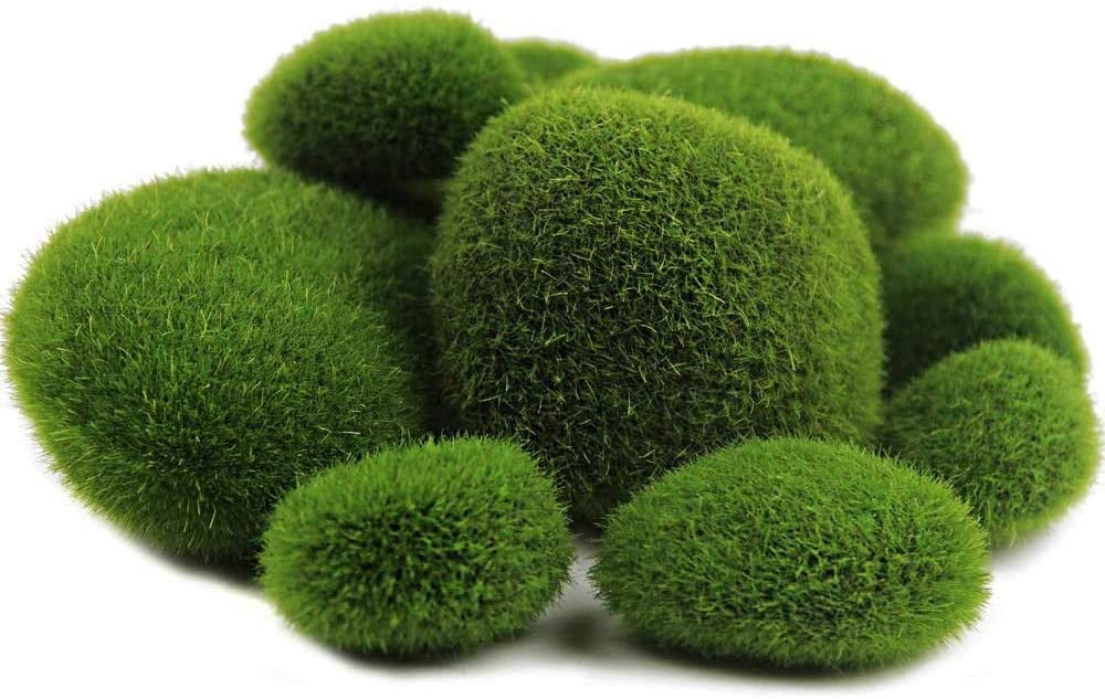 Visland Green Polystyrene Styrofoam Artificial Moss, Set of 6 - Walmart.com
