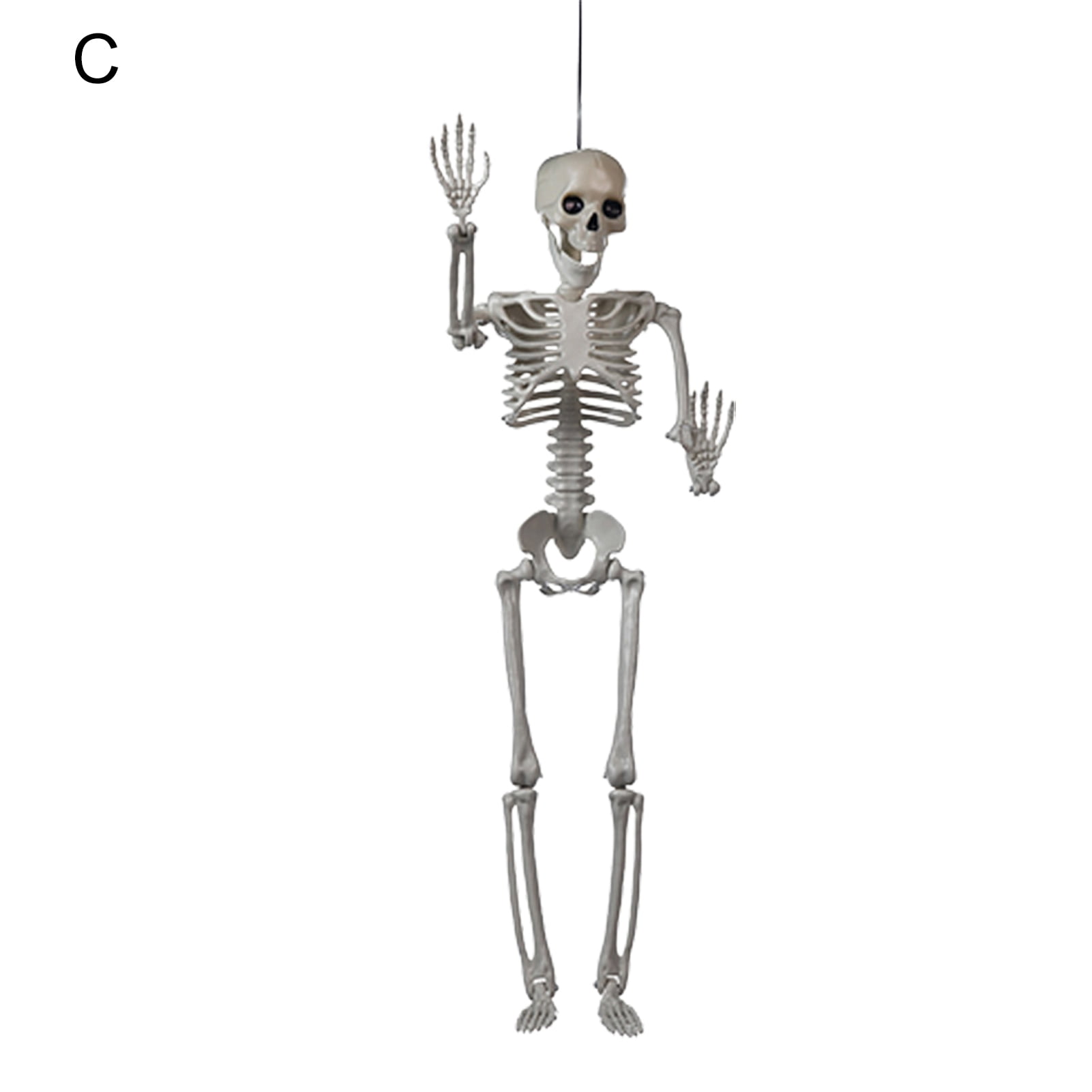 Visland Halloween 15 7 Inch Human Skeleton Oversized Poseable Full Life
