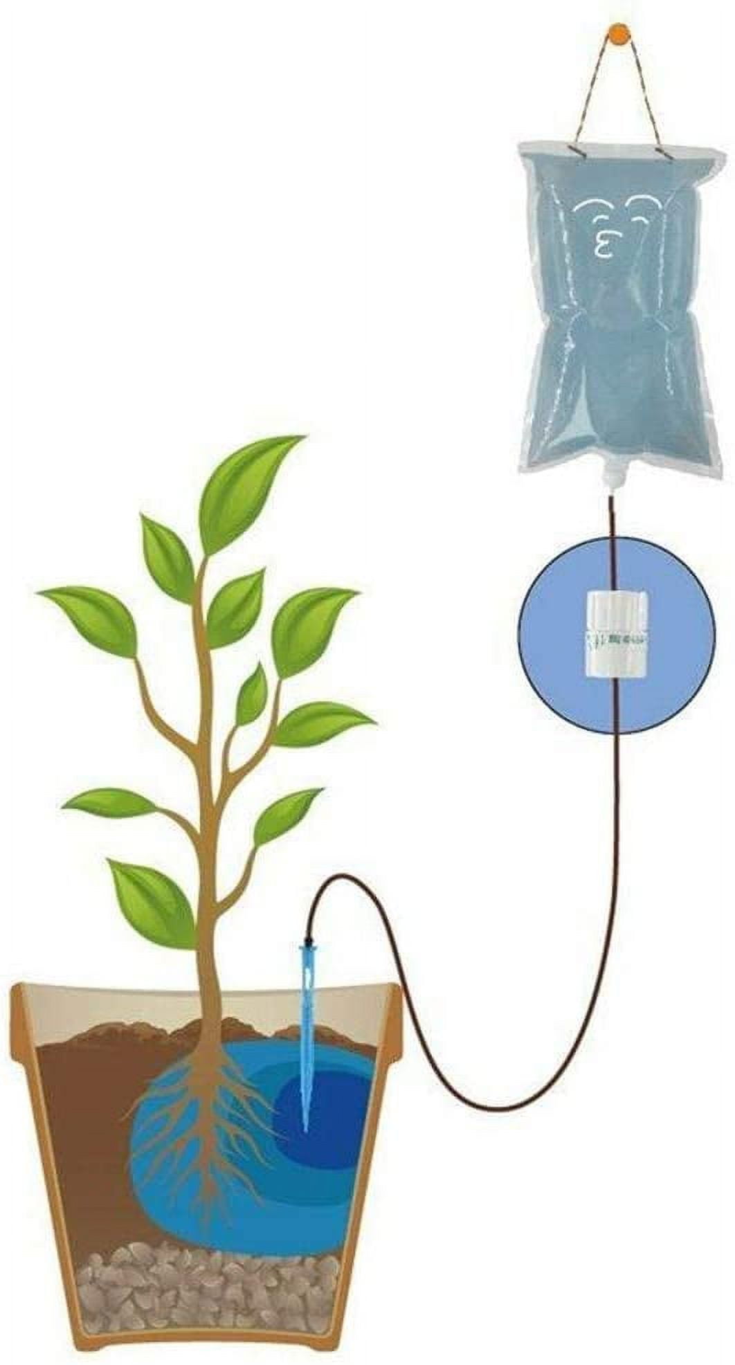 Visland Plant Self Watering Planter Insert Devices Spikes, Automatic ...