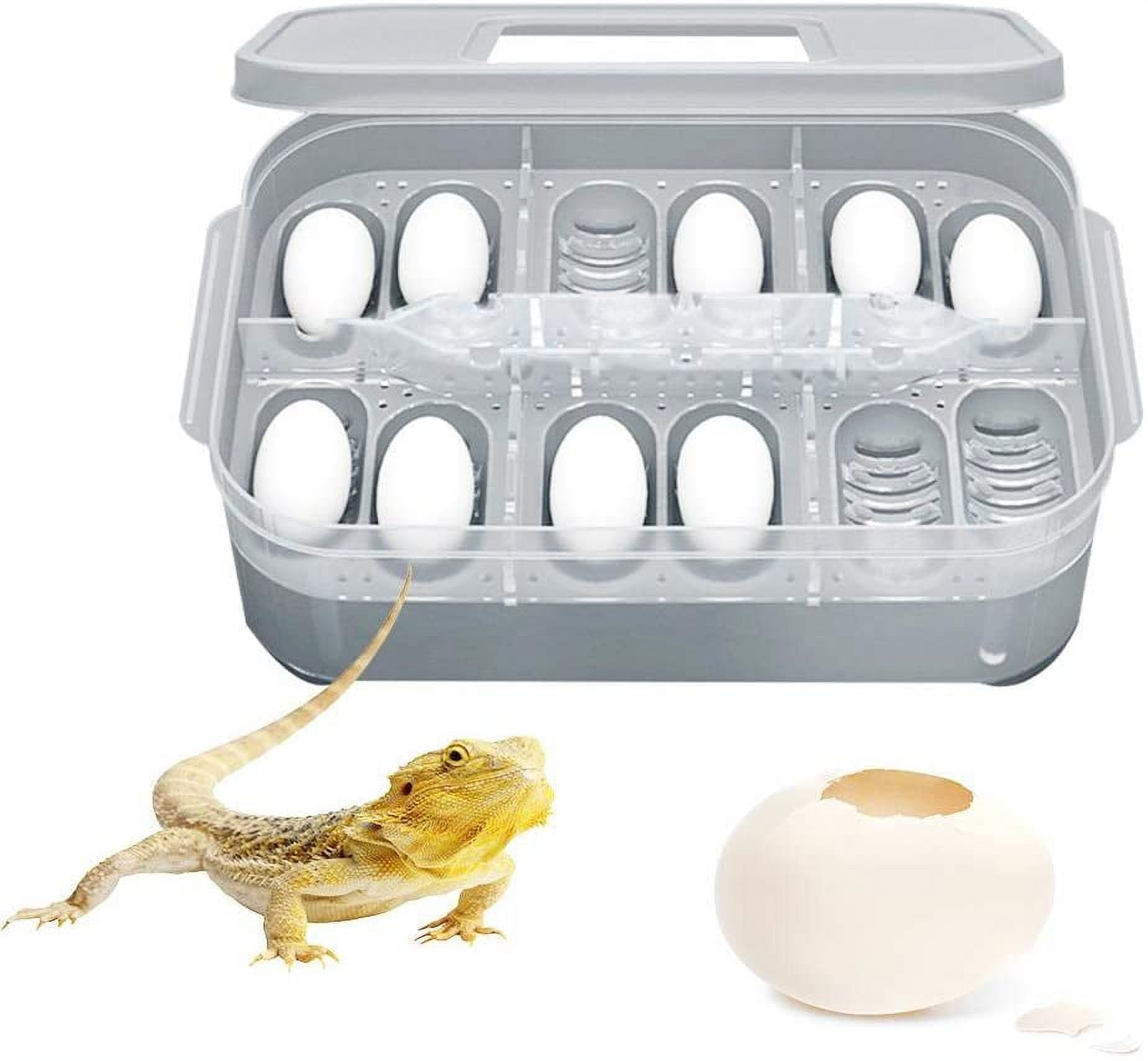 Visland Reptile Breeding Box, Reptile Hatching Box, Lizard Small ...