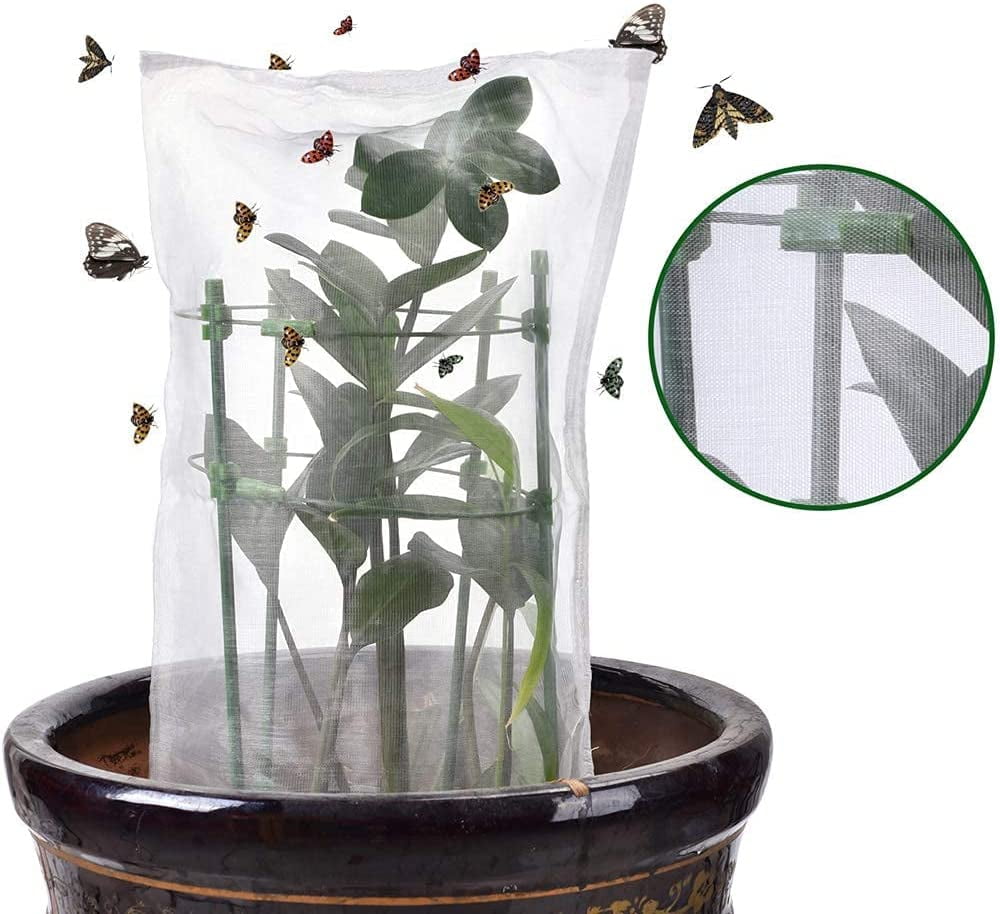 Visland Seedling Plant Protectors, Protective Plant Screens Against ...