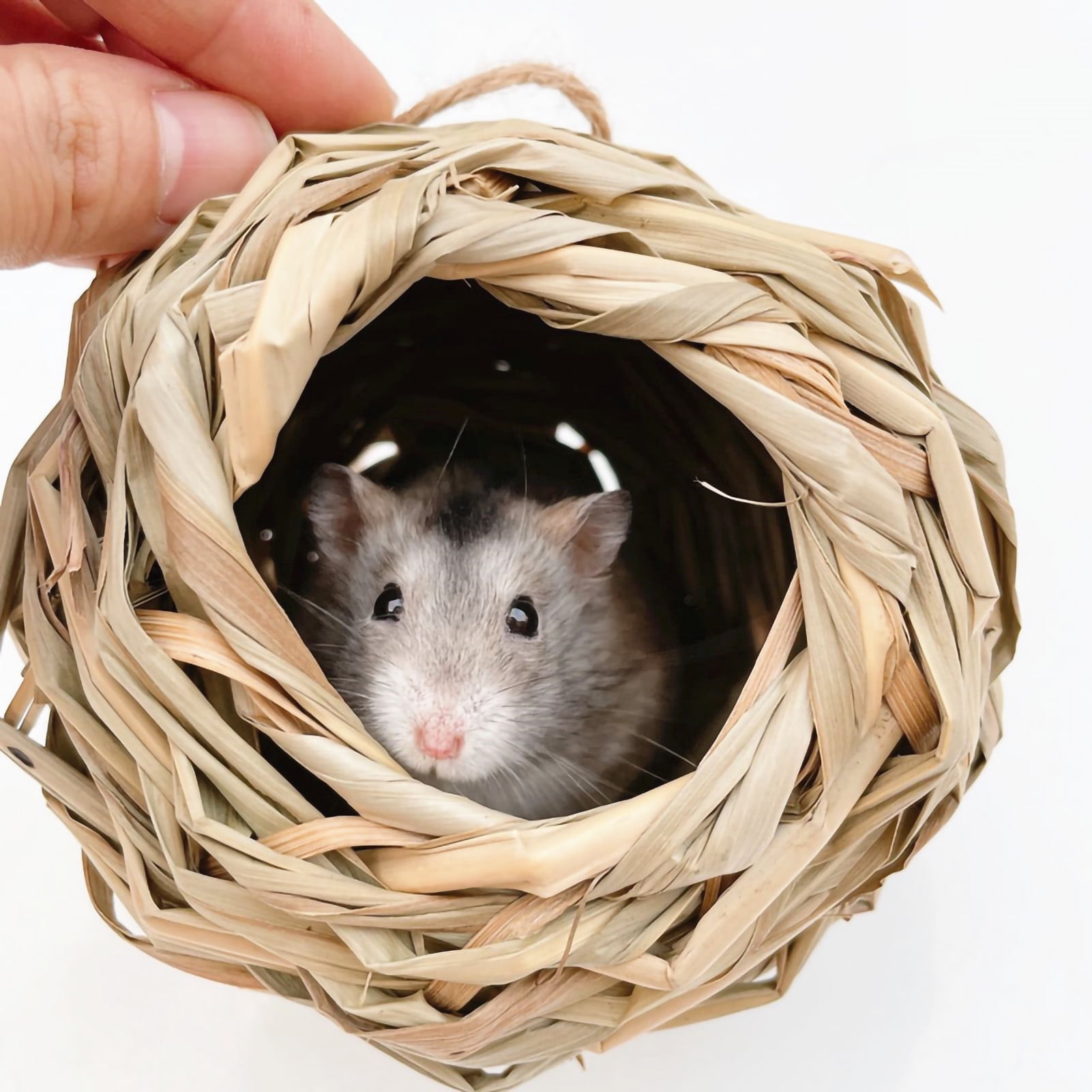 Visland Small Pet Woven Grass Hideout Tunnel Ball Toys Activity Center ...