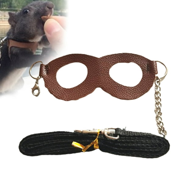 EcoVerve Harness And Leash Set Adjustable For Small Animals Ferrets ...
