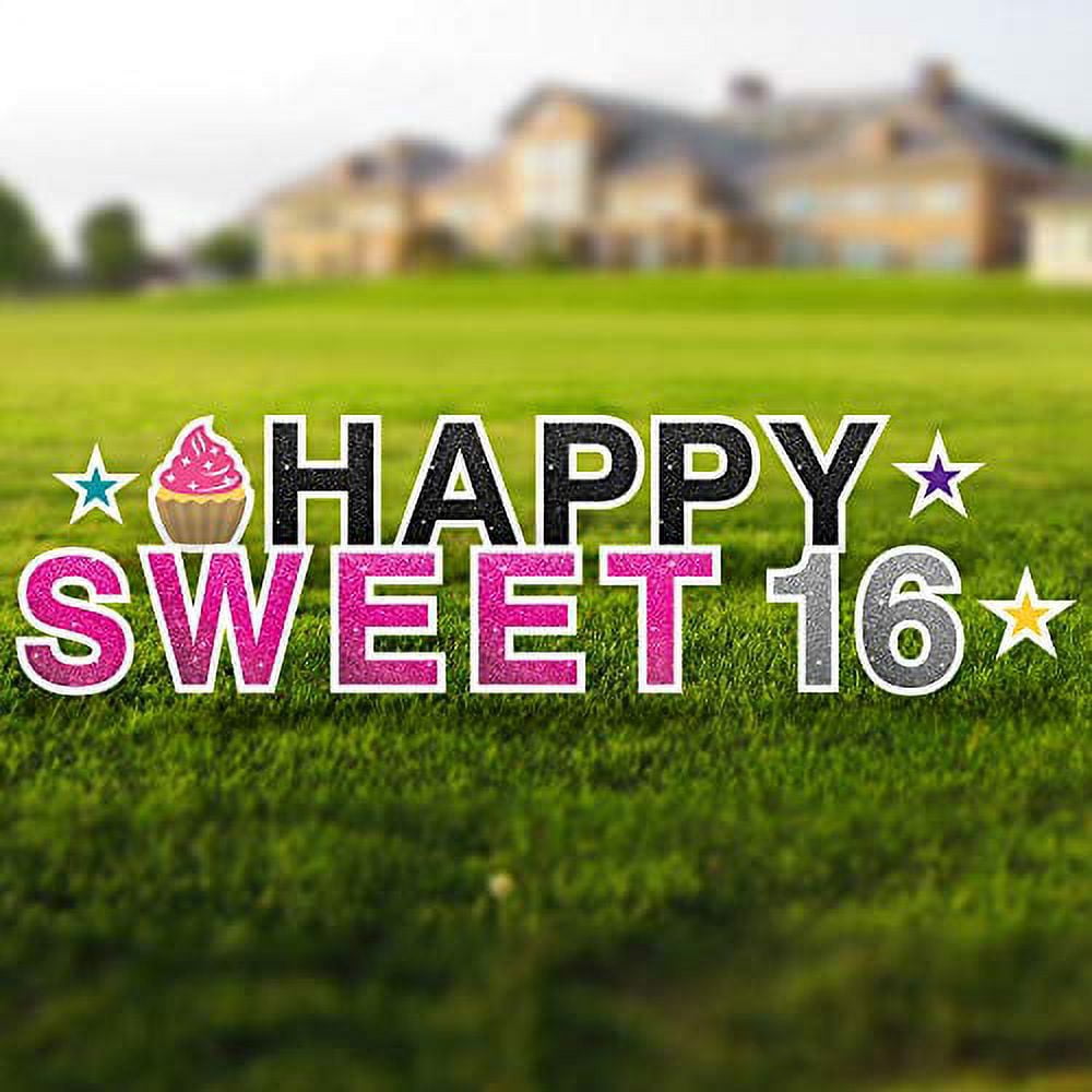 Vispronet Happy Sweet 16 Birthday Yard Sign with Stakes – Each Letter ...