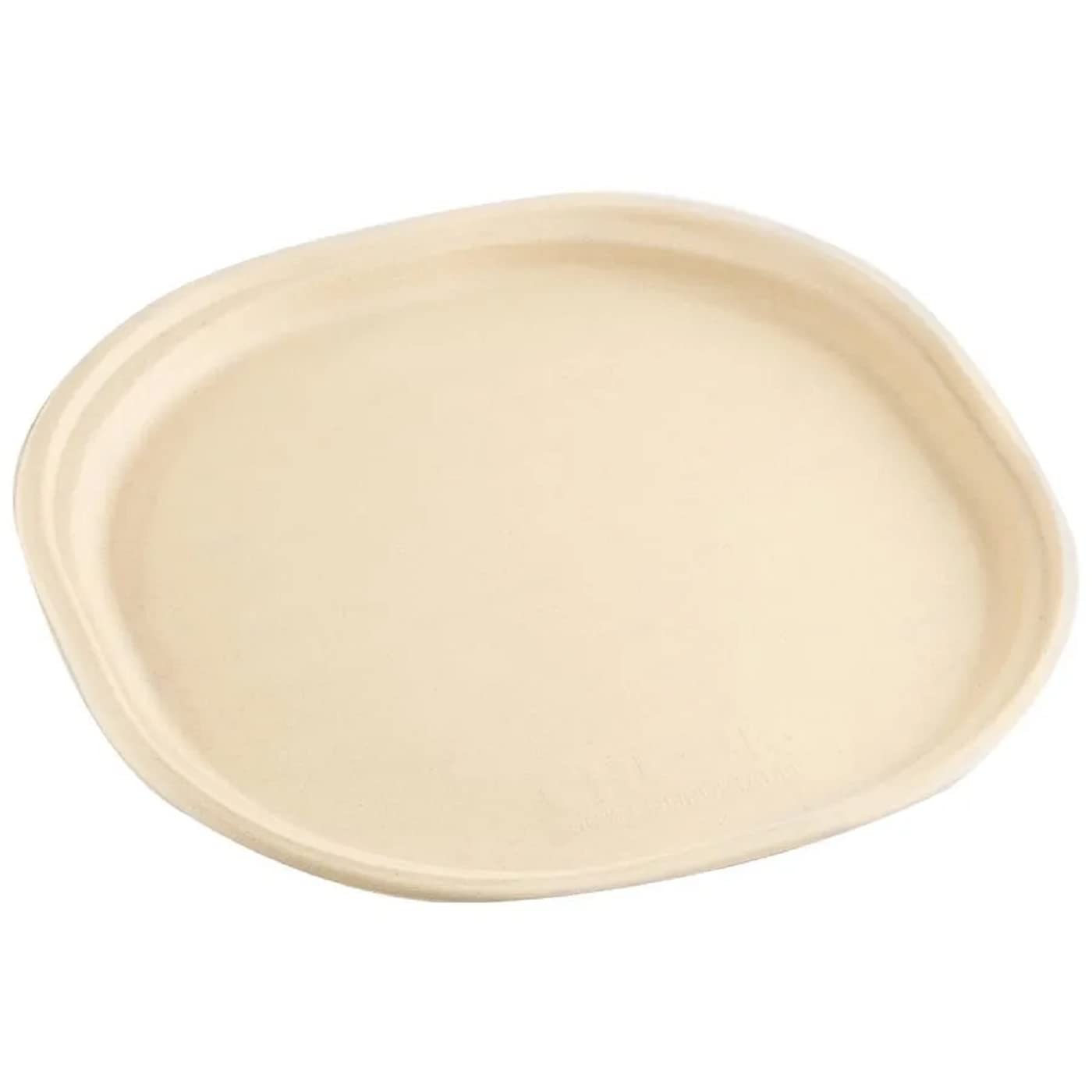Vissage 100 Biodegradable Ecofriendly 11IN Square Disposable Plate Pack ...