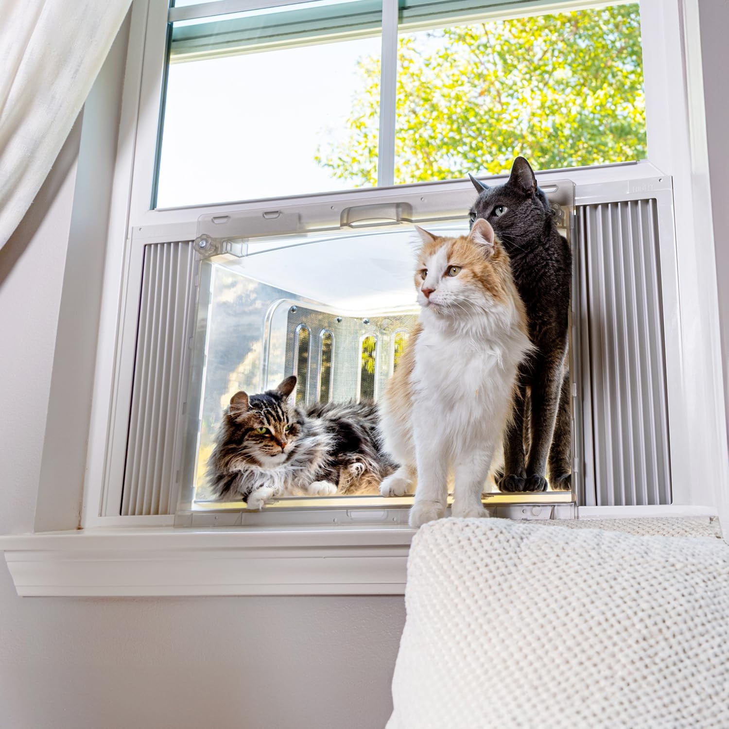 VistaCatio Window Catio – Premium Outdoor Freedom & Joy for Indoor Cats ...