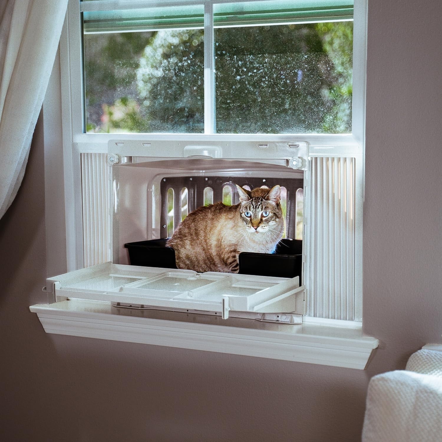 VistaLoo Window Catio, Perch & Litter Box – Premium Outdoor Freedom for ...