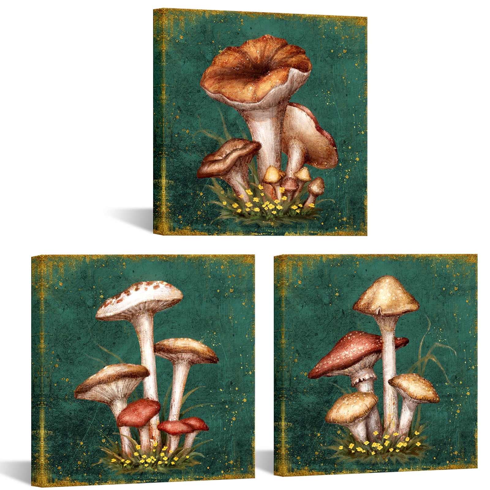 Visual Art Decor 12x12 inch Wood Framed Botanical Wall Art, Nature ...