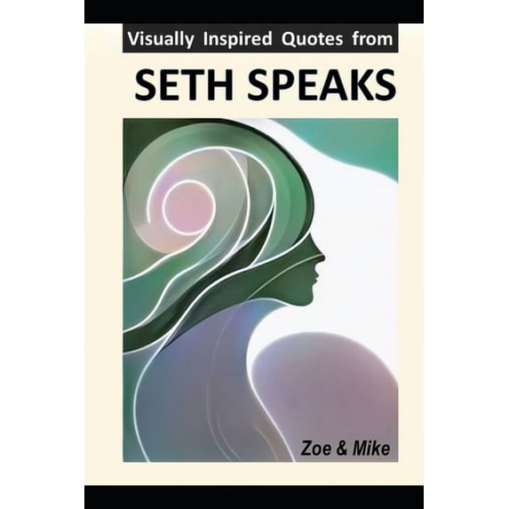Key Points and Illustrations of Seth Boo Visually Inspired Quotes from ...