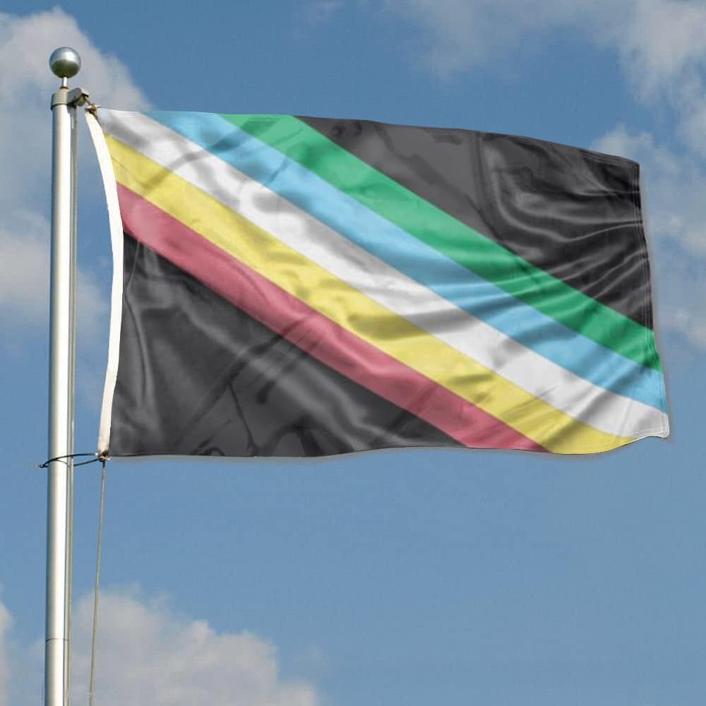 Visually Safe Disability Pride Flag banner 2x3 FT Home Garden Party ...