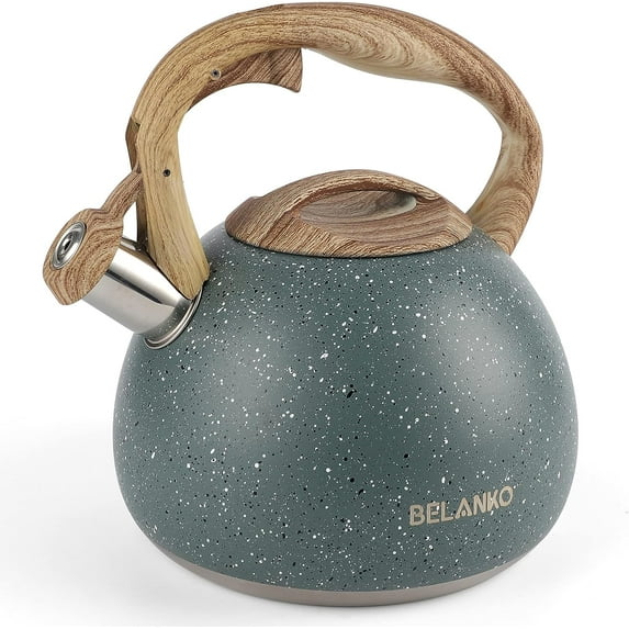 Visualz 2.7 Quart Tea Kettle for Stovetops - Food Grade Stainless Steel ...