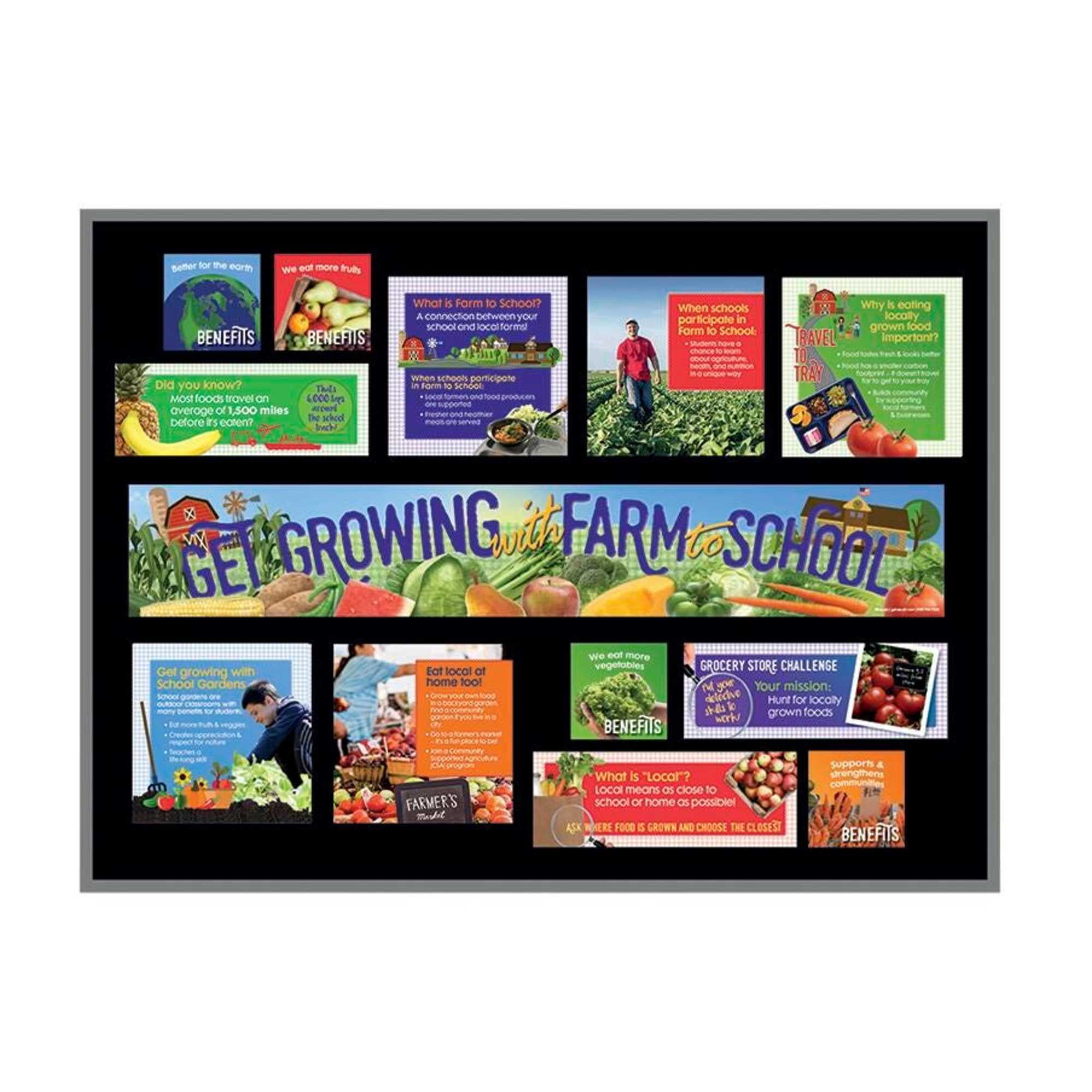 Visualz Get Growing with Farm to School Bulletin Board Kit, 14 Pieces ...