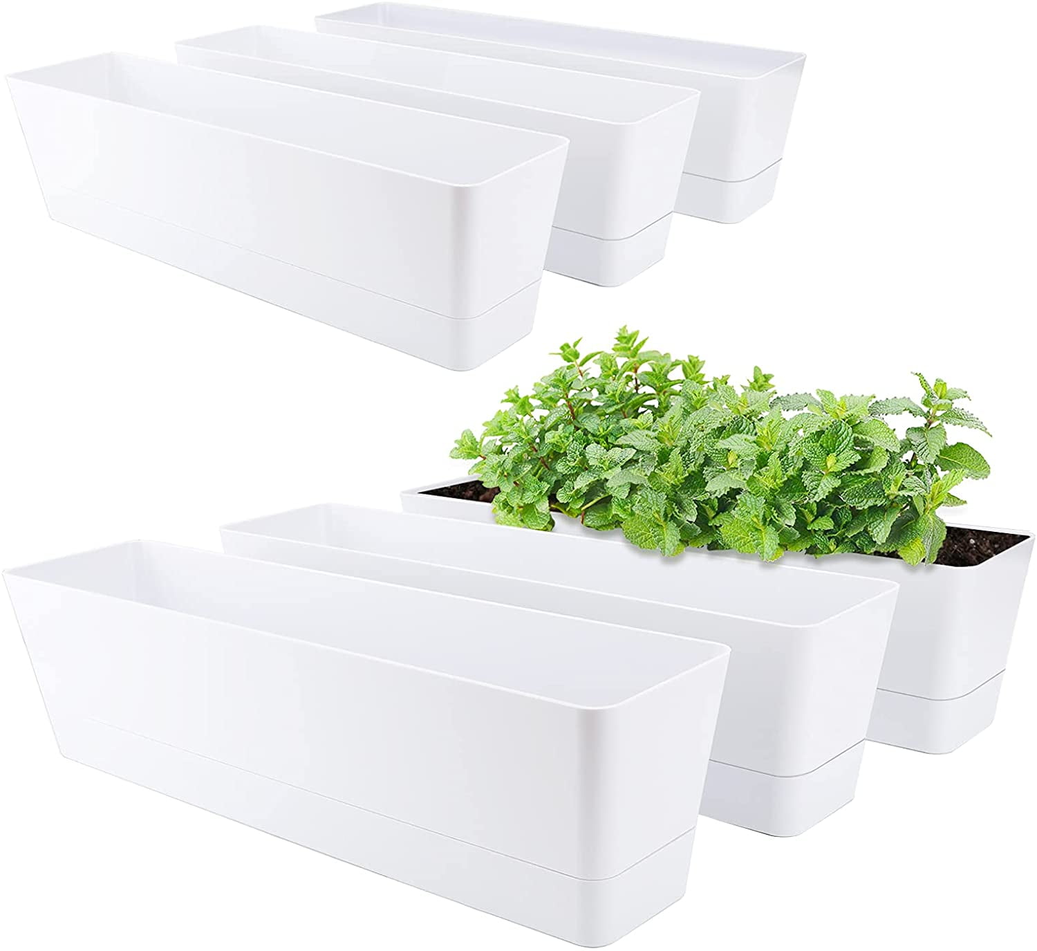 Visualz Long Window Boxes Planters, 6 Pack 16x3.8 Inch Vegetable Box ...