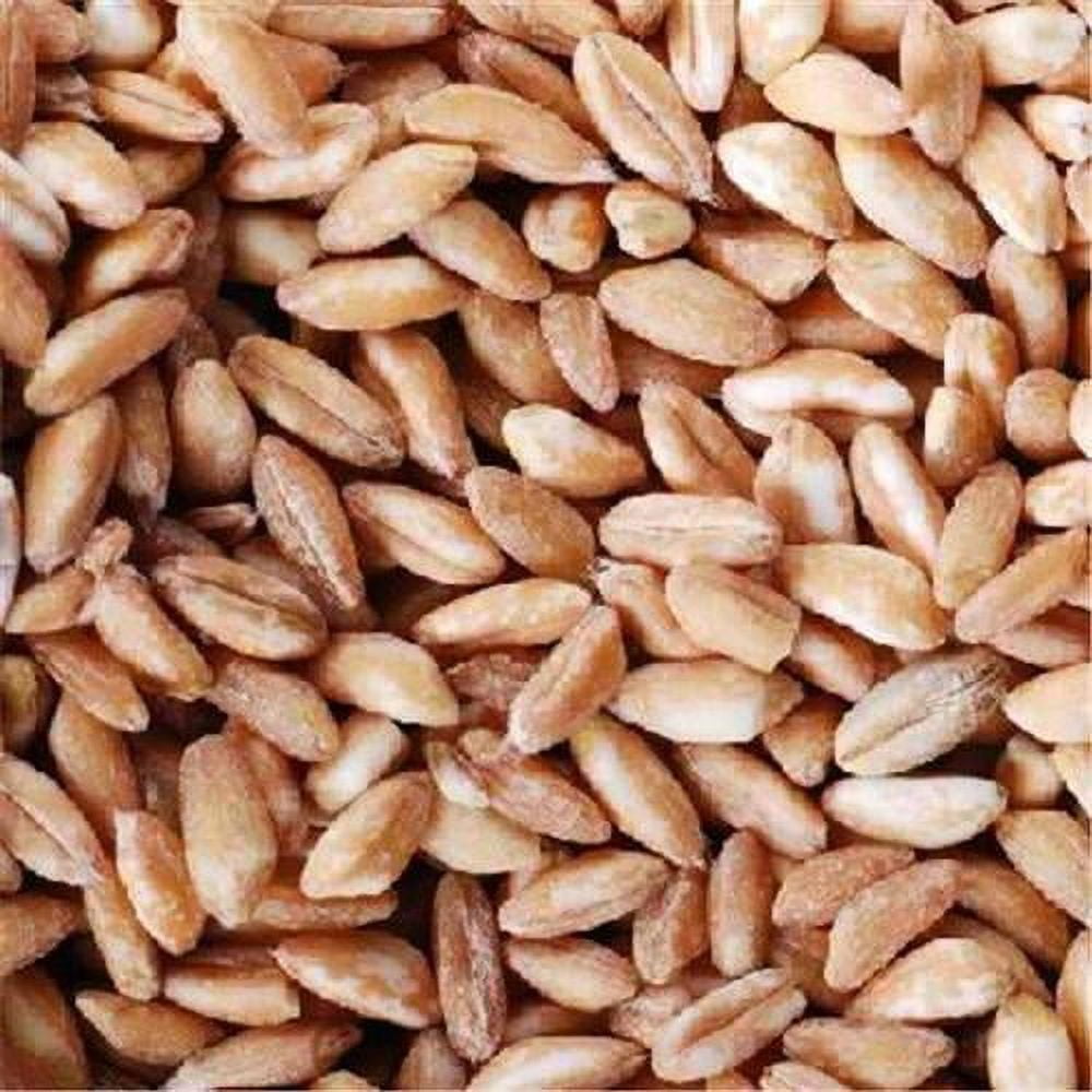 Vita-Spelt BG19449 Vita-Spelt Kernels - 1x25LB - Walmart.com