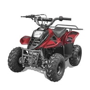 Tao Motor Kids Powered Mini Wheelers - New 125cc Gas All-Terrain ...