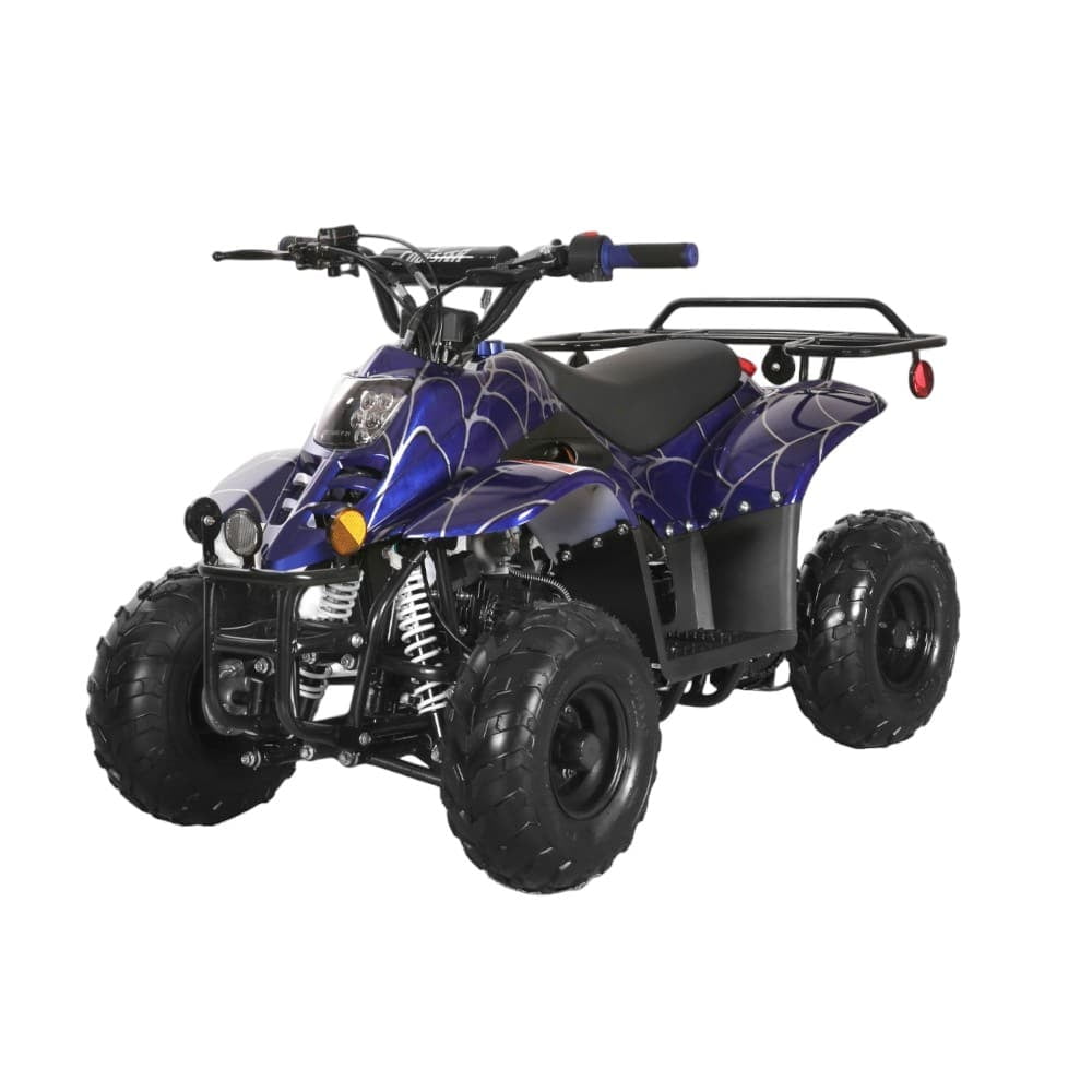 Vitacci Hawk 110cc Fully Automatic Mini ATV All-Terrain Vehicle ...