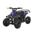 Vitacci Hawk 110cc Fully Automatic Mini ATV All-Terrain Vehicle ...