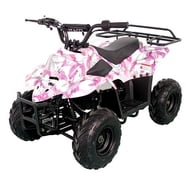 Tao Motor New 125 T-FORCE Platinum 120 cc Gas All-Terrain Vehicle (ATV ...