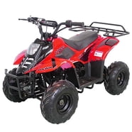 Massimo Motors MSA450F EFI 352cc 25 HP 4 Stroke Engine ATV Blue with ...