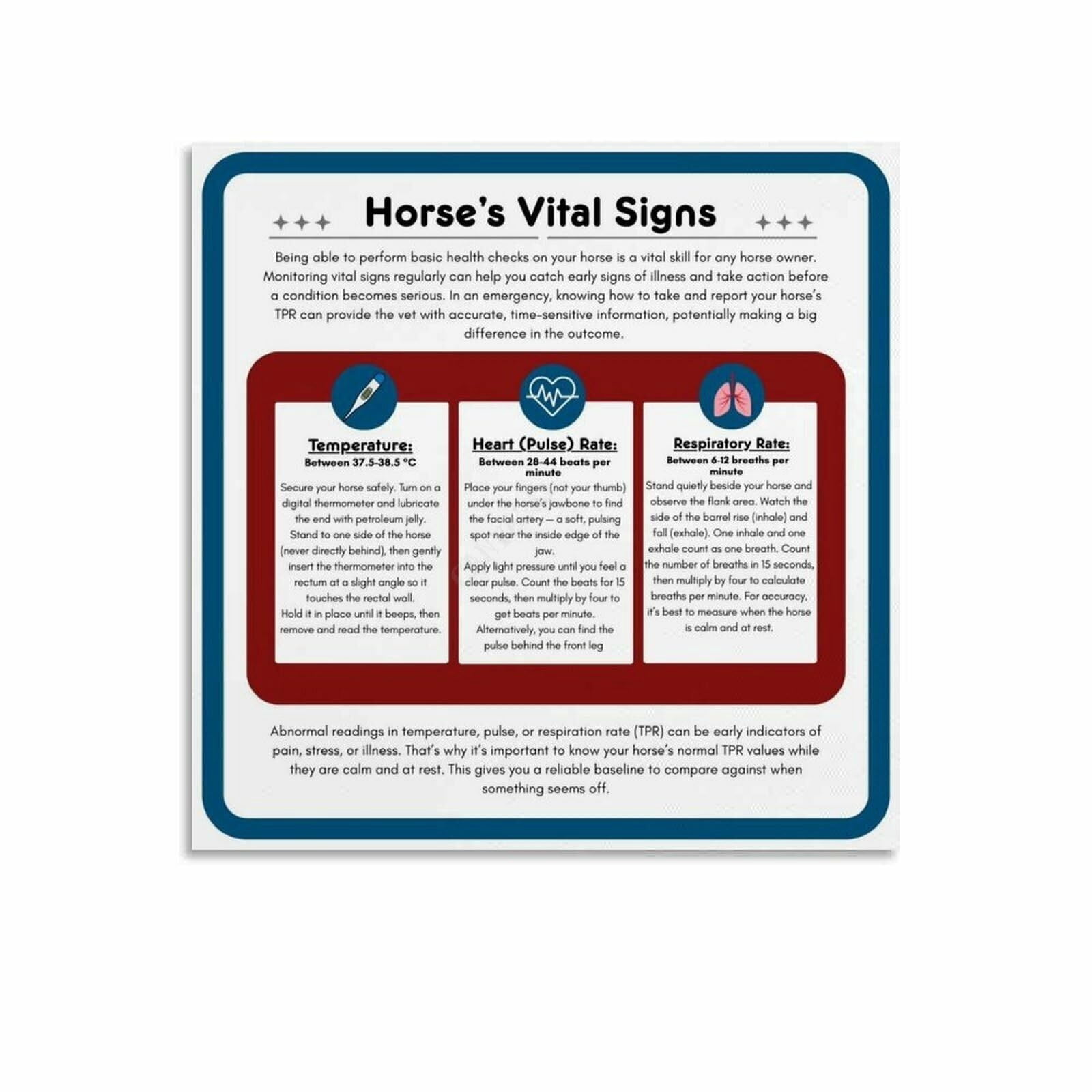 Vital Signs In Horses Knowledge Poster Veterinarian Guide (6) Canvas ...