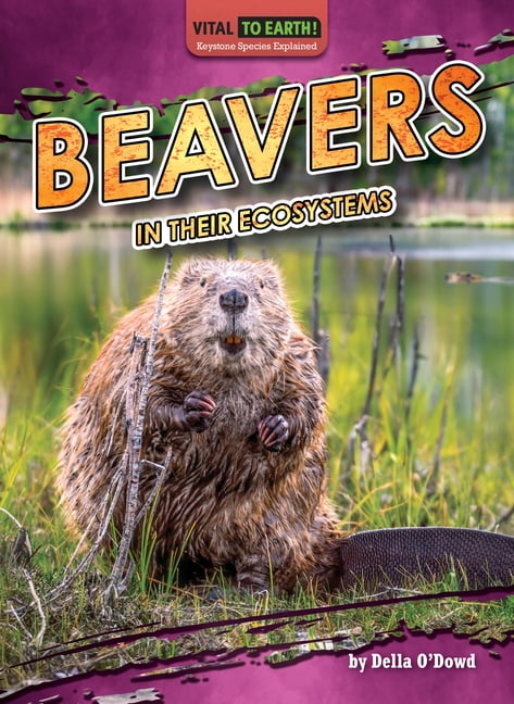Vital to Earth! Keystone Species Explain Beavers in Their Ecosystems ...
