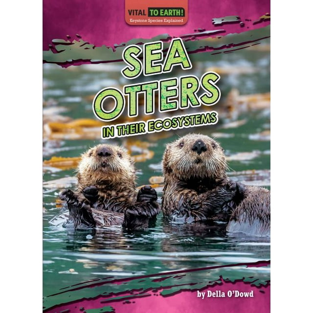 Pre-Owned Vital to Earth! Keystone Species Explained: Sea Otters in ...