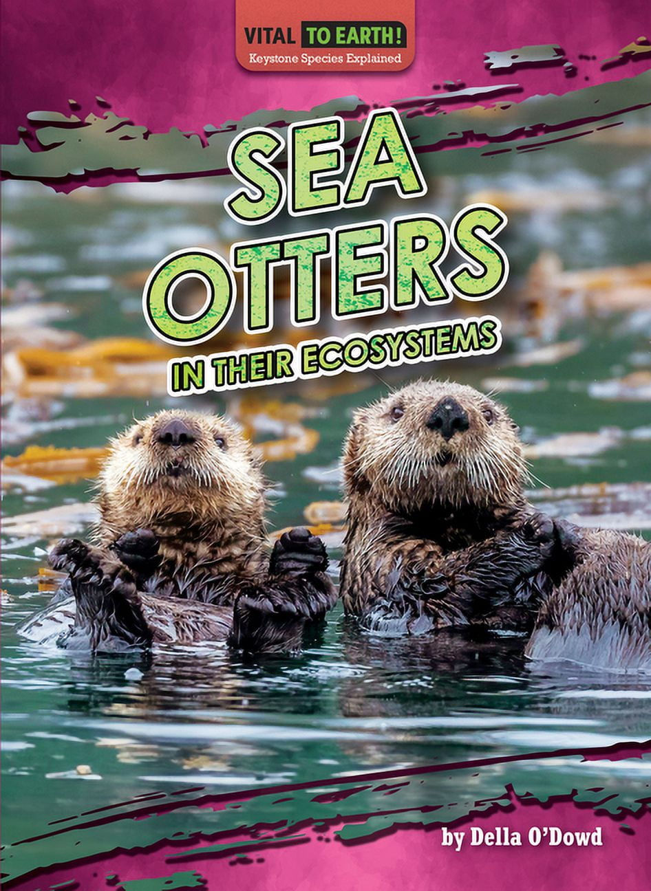 Vital to Earth! Keystone Species Explained: Sea Otters in Their ...