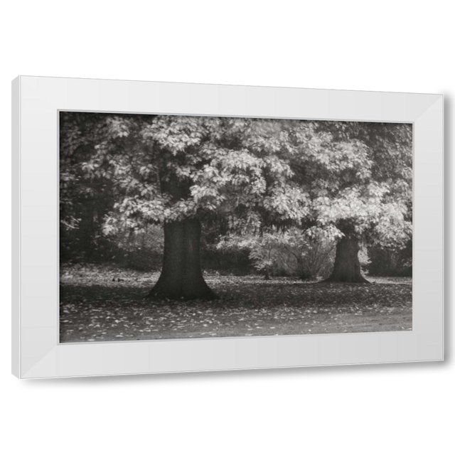 Vitaly Geyman 14x11 White Modern Wood Framed Wall Art Titled - Red Oak ...